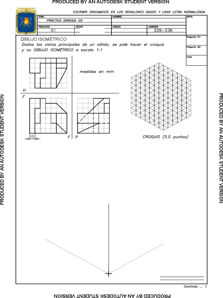TAREA - EJERCICIOS ISOMETRIA | PDF