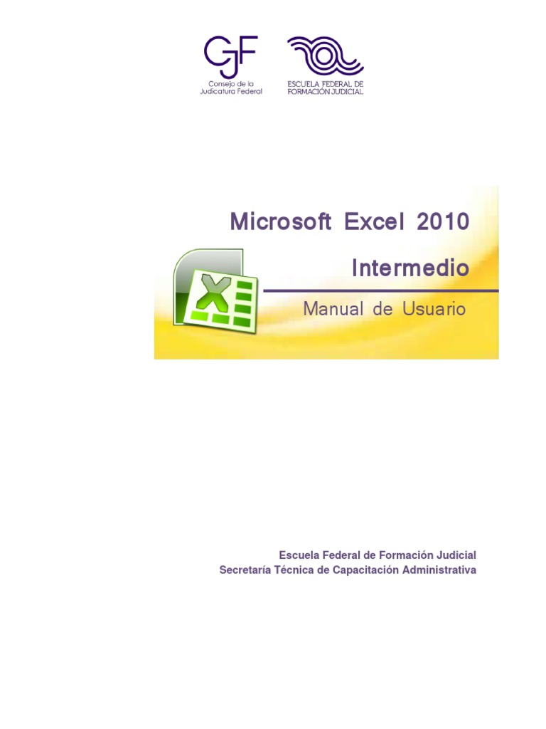 MANUAL Excel 2010 Intermedio | PDF | Microsoft Excel | Hoja de cálculo