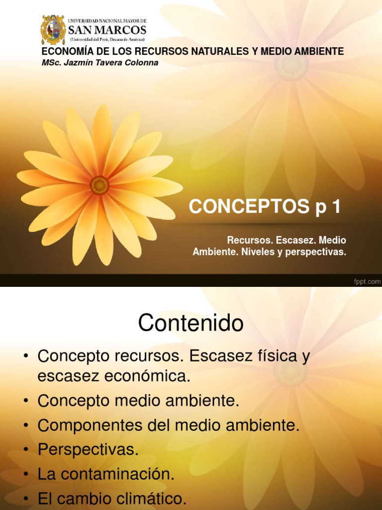 CONCEPTOS P1 - Merged | PDF | Deforestación | Petróleo