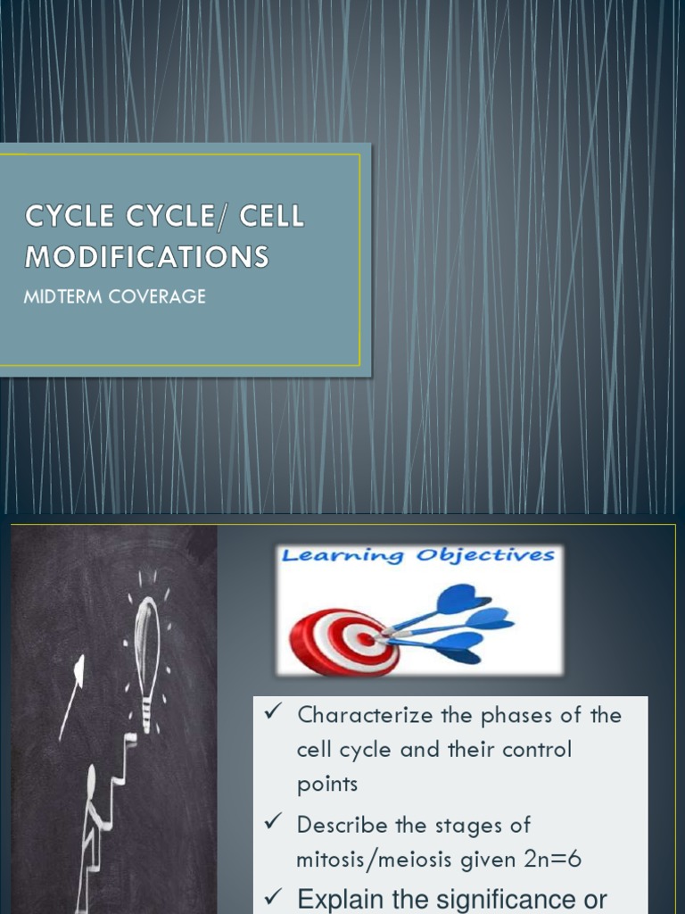 Cell Modifications Cell Cycle | PDF | Meiosis | Mitosis