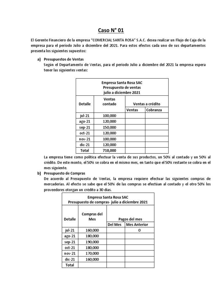 Flujo de Caja y Presupuestos 2021 | PDF | Presupuesto | Economias