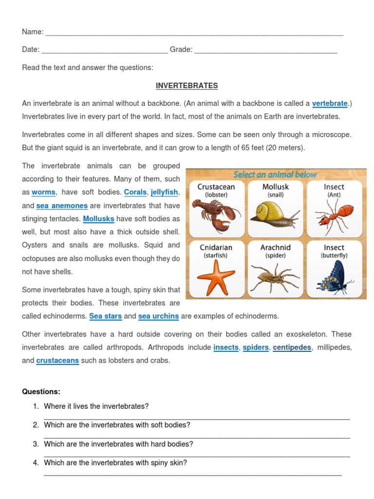 Reading Activity Pdf