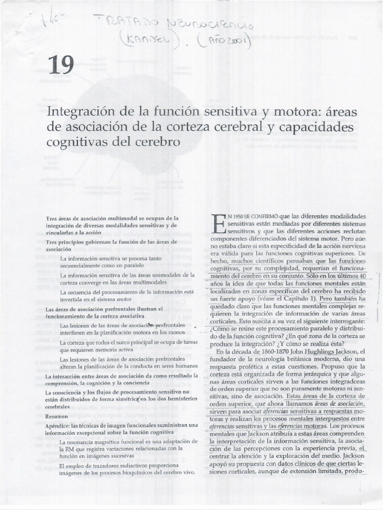 Capitulo 19 Kandel | PDF