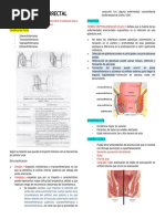 Protocolo Diagnóstico de Las Adenopatías Inguinales | PDF | Infección transmitida sexualmente ...