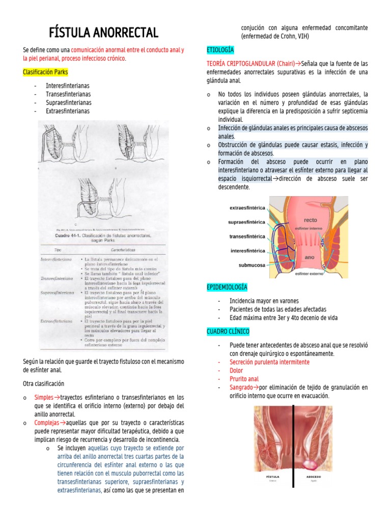 Fístula Anorrectal: Clasificación y Tratamiento | PDF | Enfermedad de ...