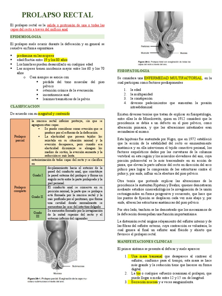 Prolapso Rectal | PDF | Recto | Pelvis