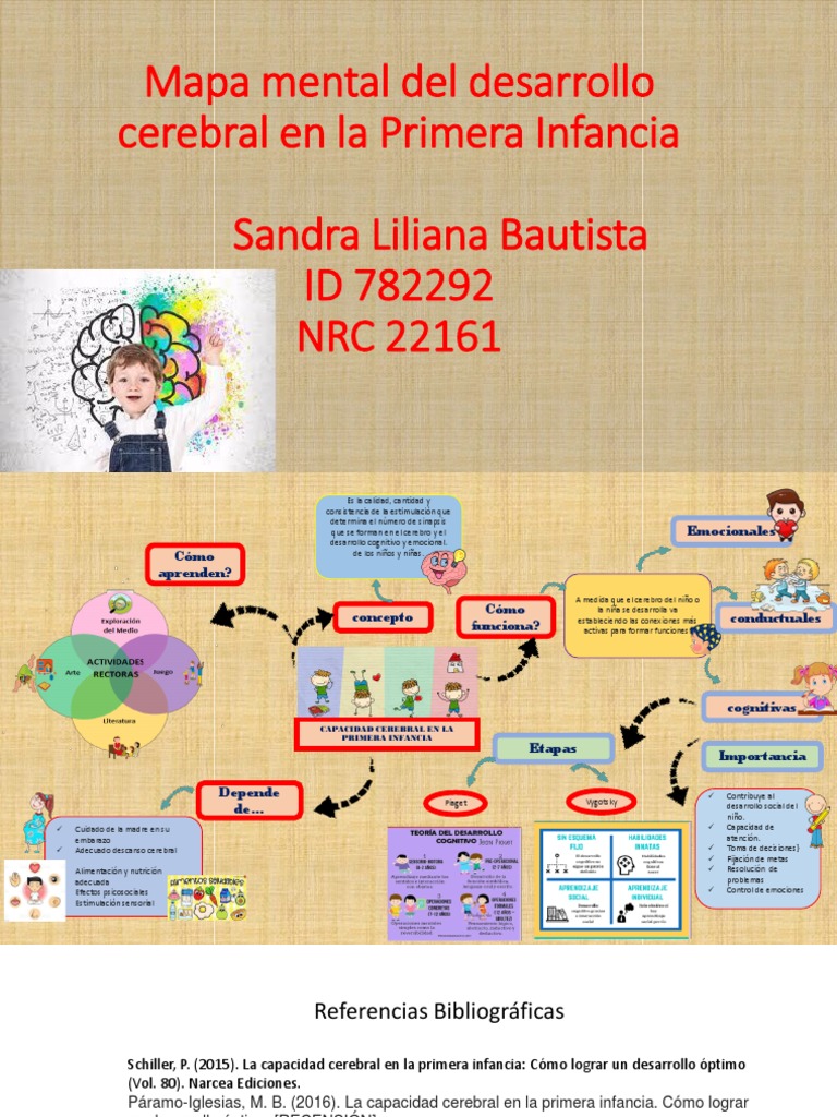 Mapa Mental Capacidad Cerebral en La Primer Ainfancia | PDF | Cerebro | Las emociones