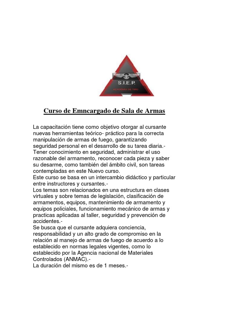 Ley 20429 y Decreto - Siep | PDF | Armas de fuego | Cartucho (armas de ...