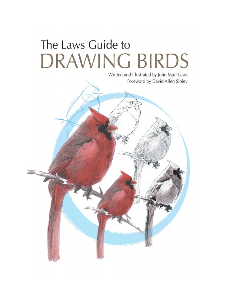 The Laws Guide To Drawing Birds | PDF