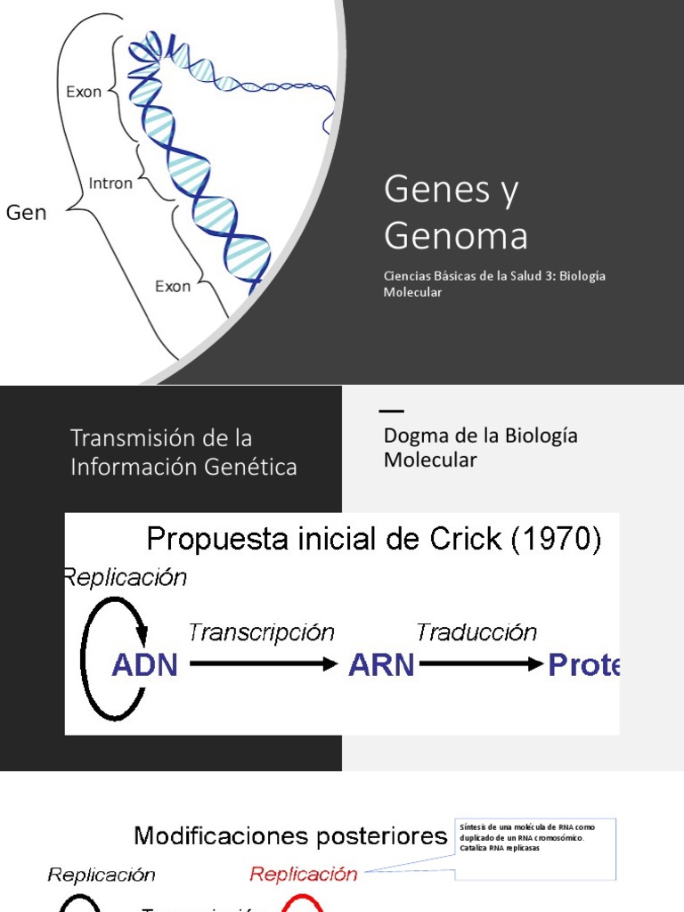 Genes y genomas: una introducción a la estructura y organización de la información genética ...