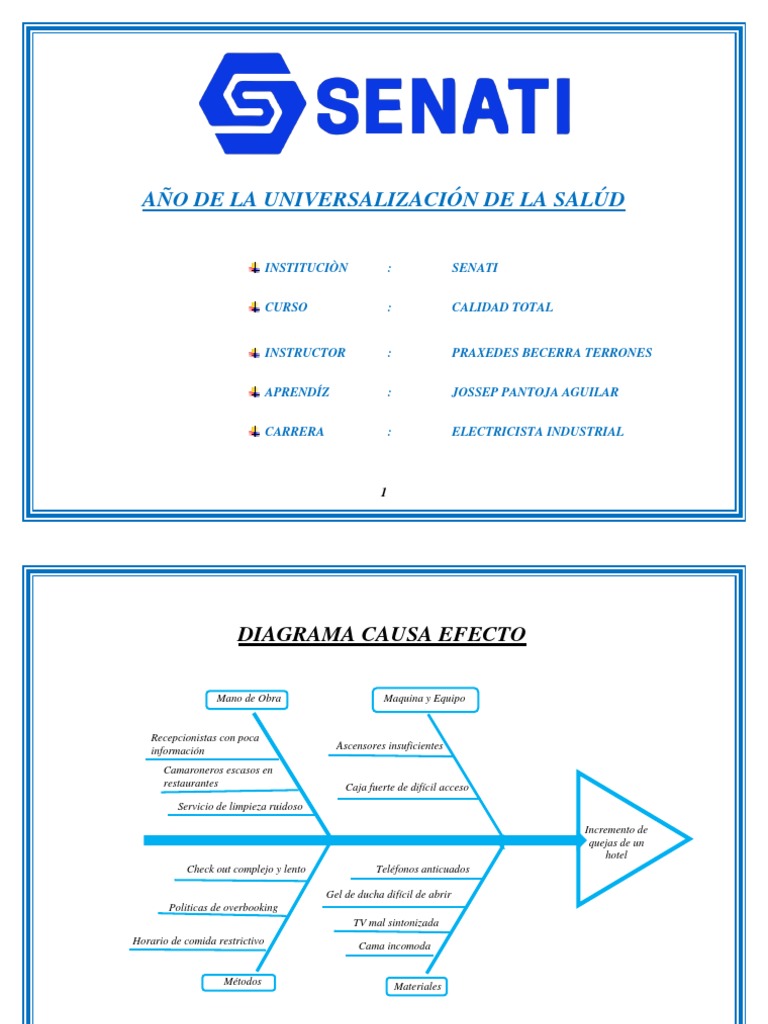 Diagrama - Causa Efecto | PDF