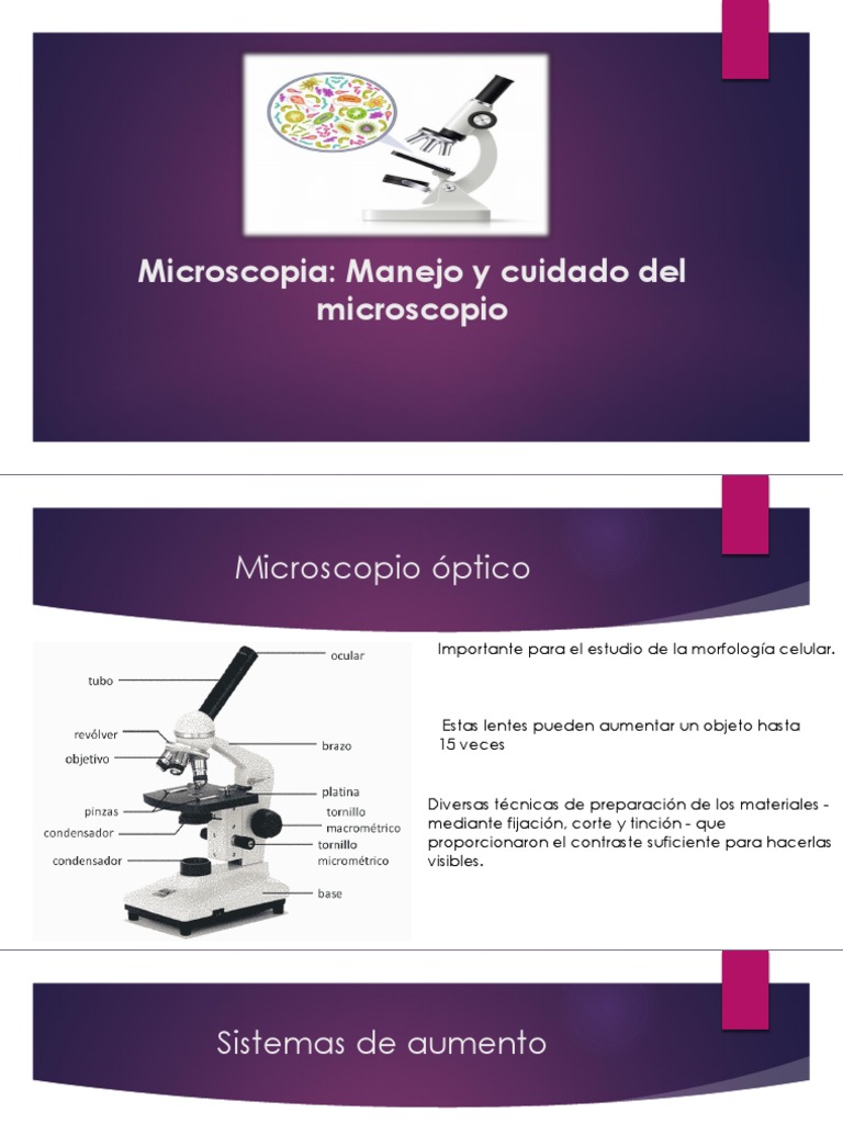 Manejo y Uso Del Microscopio | PDF | Resolución angular | Lente de la ...