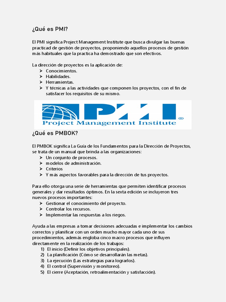 Qué Es PMI | PDF