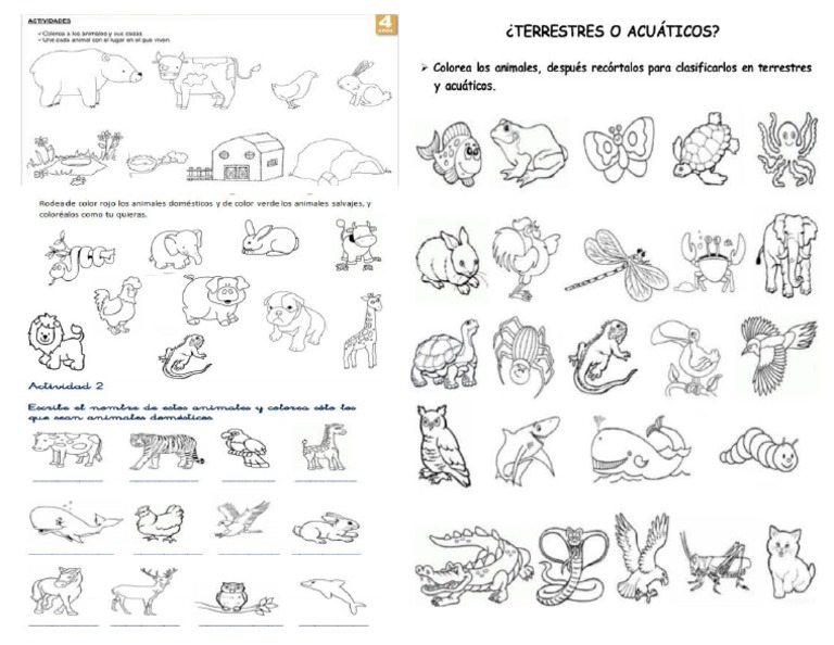 animales segun su habitat | PDF