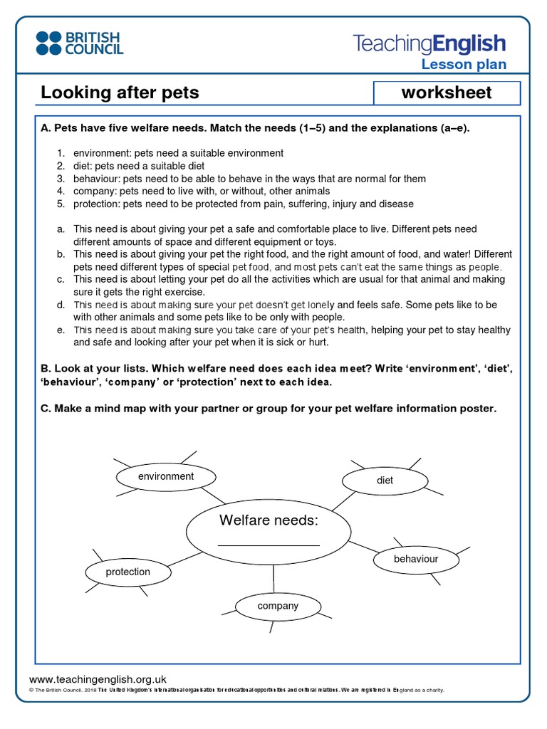 Looking After Pets Worksheet: Lesson Plan | PDF | Animal Welfare | Pet
