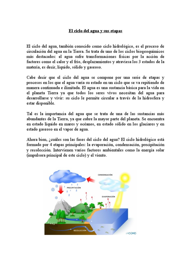El Ciclo Del Agua y Sus Etapas | PDF | El ciclo del agua | Agua