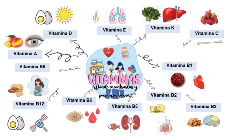 Vitaminas Mapa Mental | PDF