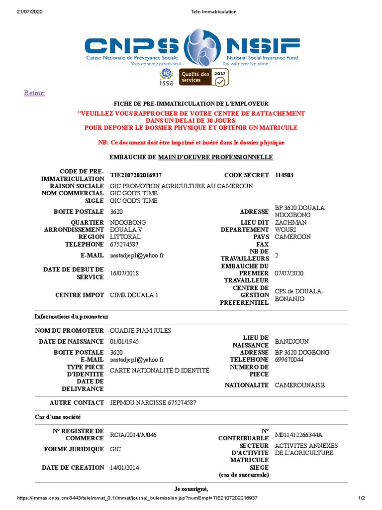 Tele-Immatriculation CNPS | PDF