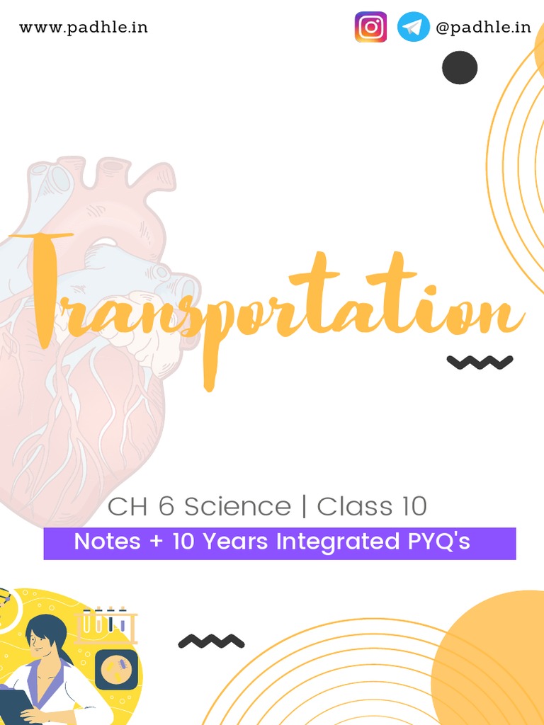 Padhle 10th - Transportation (Life Processes) Notes | PDF | Blood ...