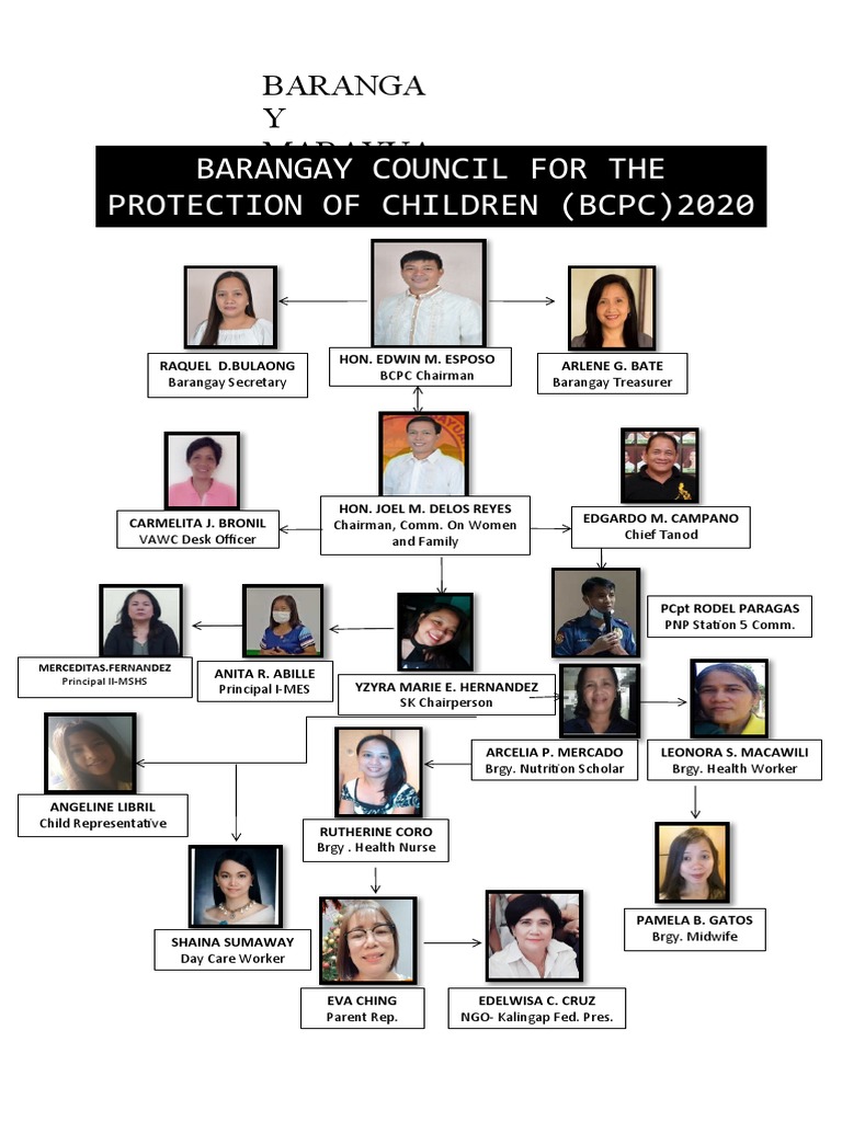 Barangay Council For The Protection of Children (BCPC) 2020: Baranga Y Mabayua | PDF