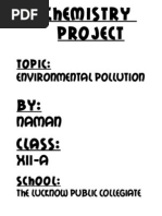 Project On Pollution | PDF | Environmental Degradation | Pollution