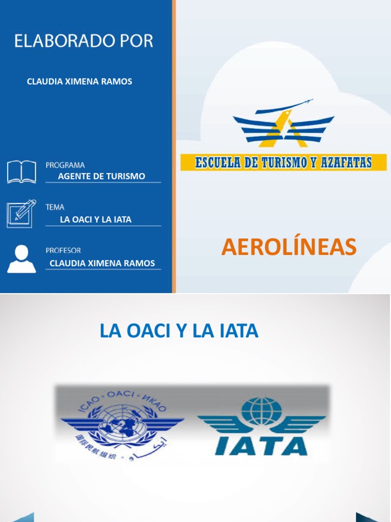 La Oaci y La Iata | PDF | Transporte | Aviación