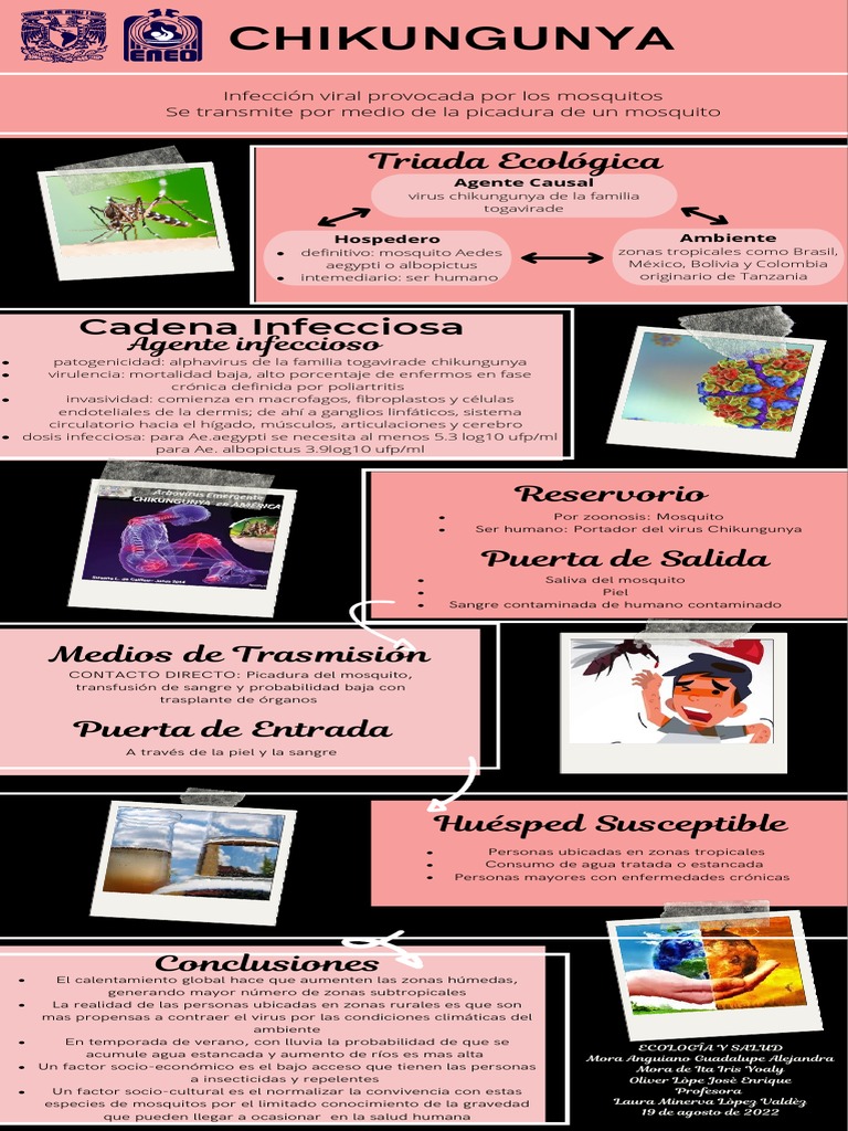 Info Grafía Triada Ecológica | PDF | Virus | Causas de la muerte