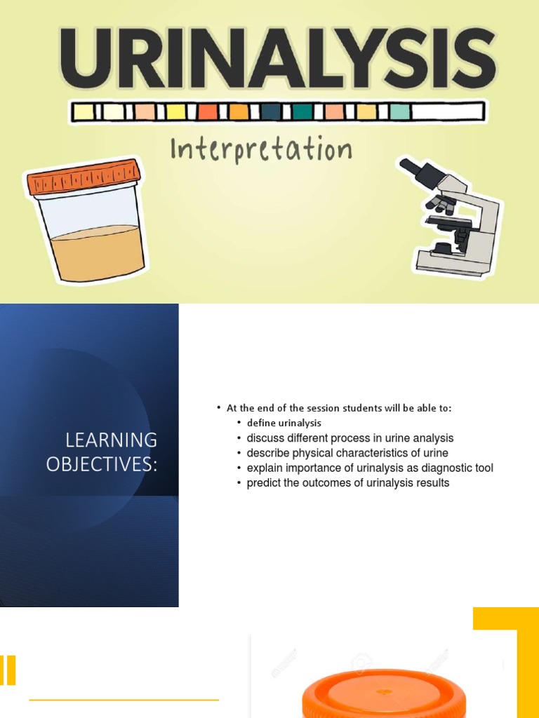 Urinalysis PDF | PDF | Urine | Kidney