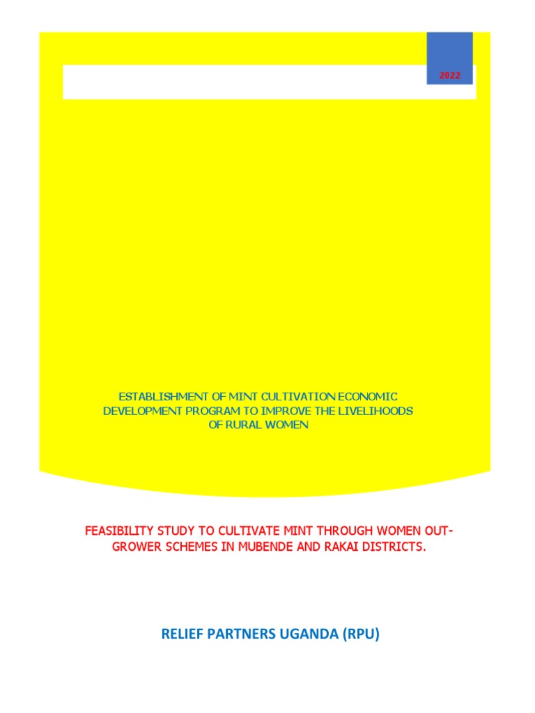 Mint Feasibility Study | PDF | Supermarket | Internal Rate Of Return