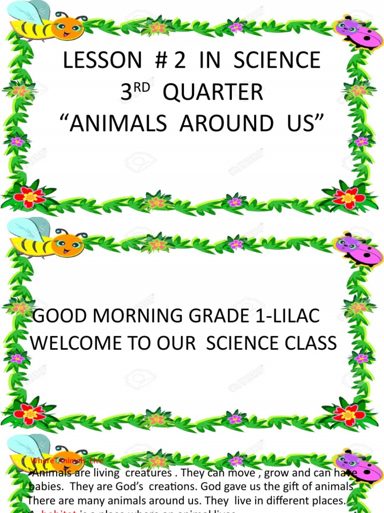 Animals Around Us | PDF | Zoo | Animals And Humans