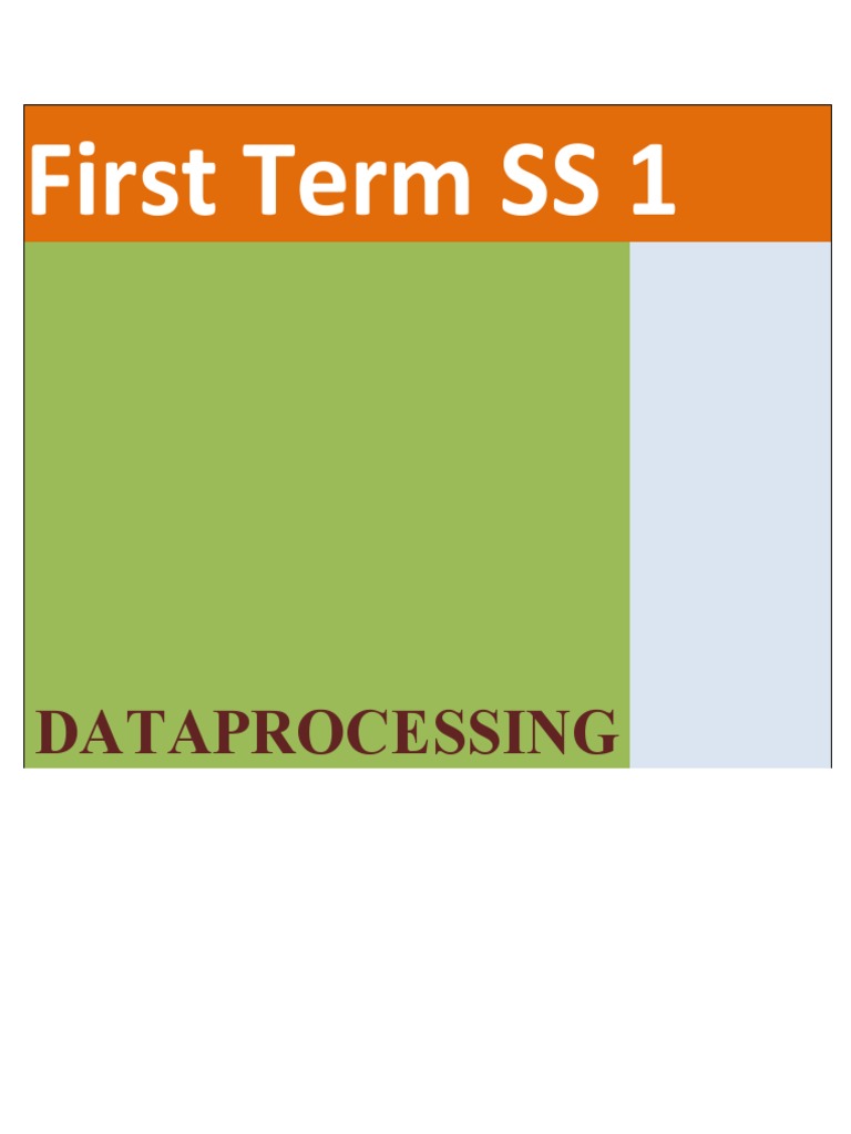 Data Processing SS1 | PDF | Input/Output | Integrated Circuit