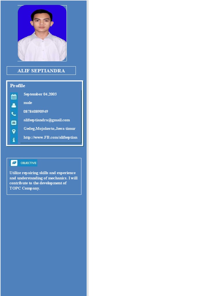 Doc5 CV Alif Bing | PDF | Business