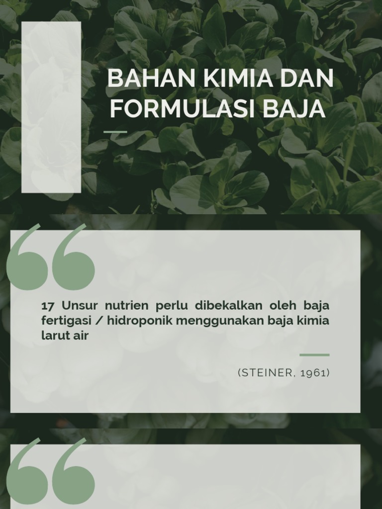 Formulasi Baja AB untuk Tanaman Cili | PDF | Teknologi & Rekayasa
