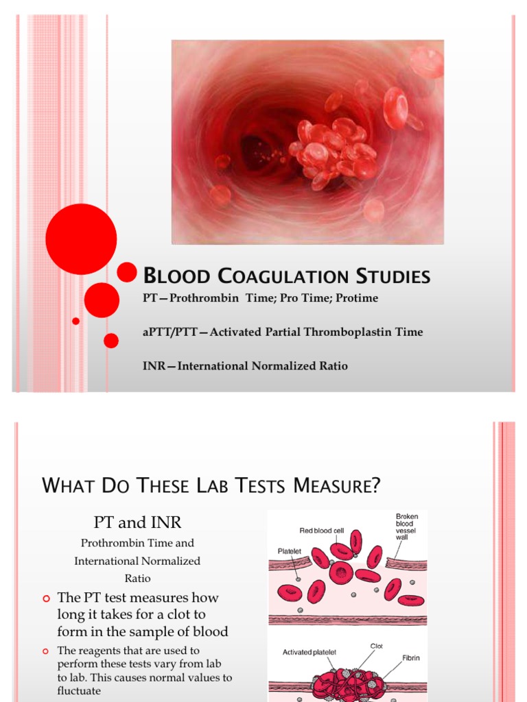 Blood Coagulation Studies | PDF | Body Fluids | Hematology