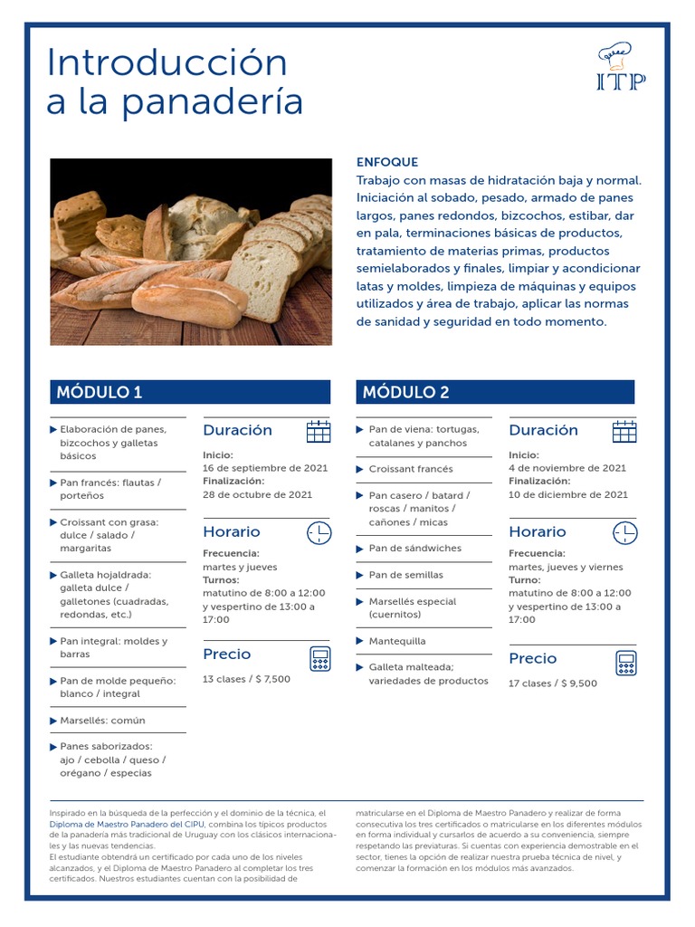 Introduccion Panaderia 2-Semestre | PDF | Panes | Galleta