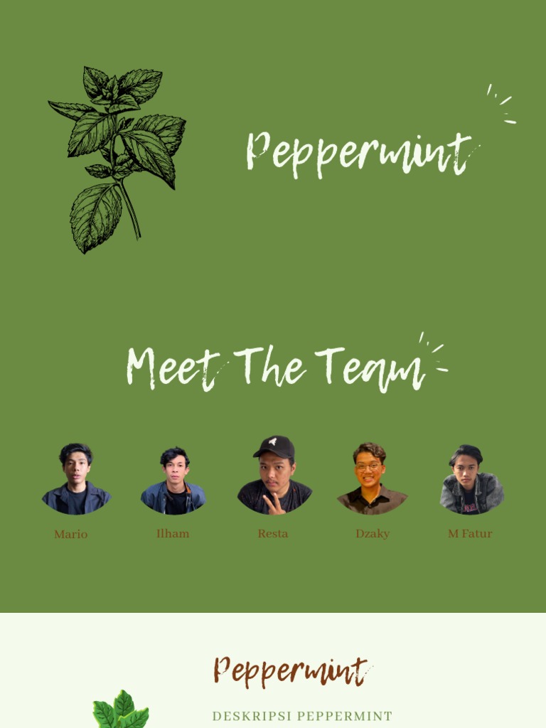 Peppermint | PDF | Sains & Matematika