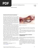 Ligaments of The Female Reproductive Tract - TeachMeAnatomy | PDF ...