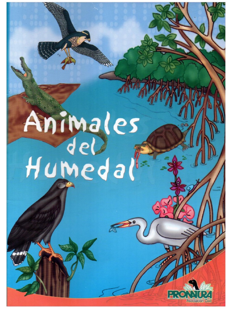 Libro Colorear Ah | PDF | Humedal | Organismos