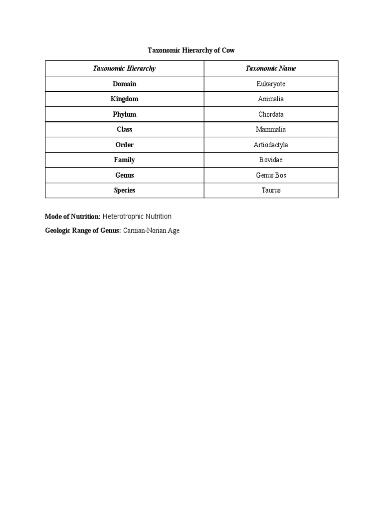 Taxonomic Hierarchy of Cow | PDF