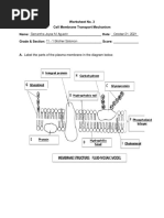 Amoeba Sisters: Cell Membrane Transport | PDF | Cell Membrane | Cell ...
