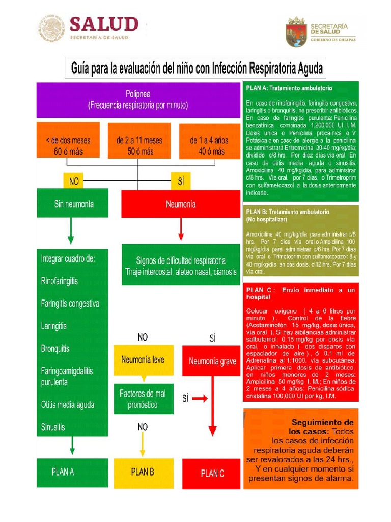 GUIAS RAPIDAS DE EVALUACION DE EDAS e IRAS 2022 | PDF