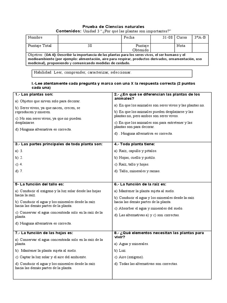 Importancia y partes de las plantas | PDF | Plantas | Raíz