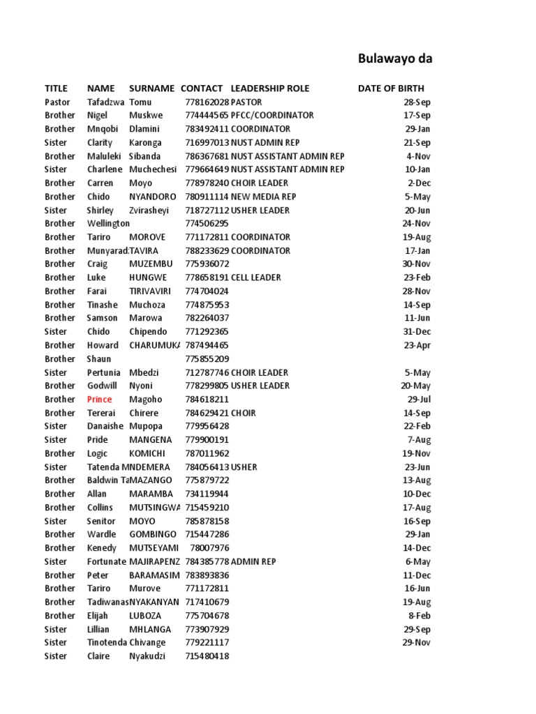 Bulawayo Leadership Database | PDF