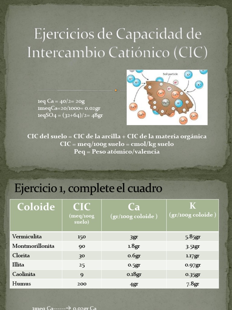 Unidad IV (A) Ejercicios CIC | PDF