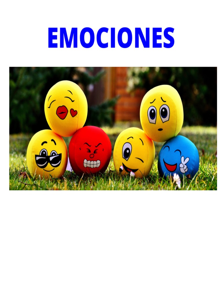 Las Emociones Paso A Paso | PDF | Las emociones | Mente