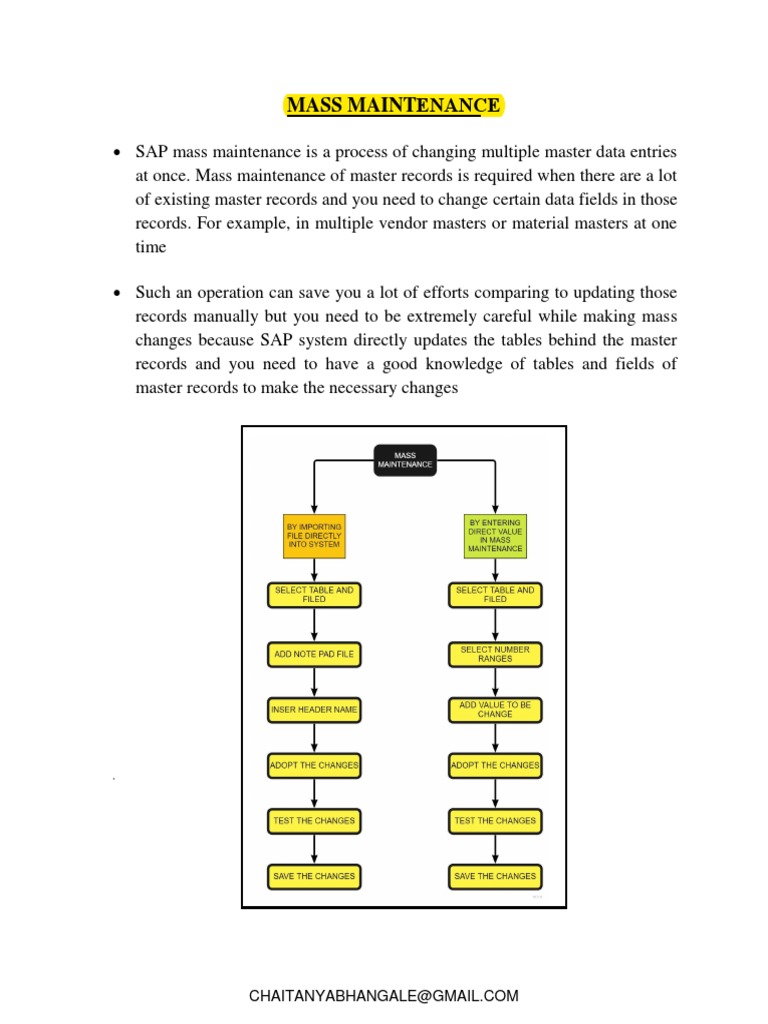 Master Data Mass Maintenance | PDF | Data | Business