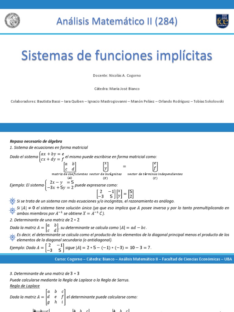 03-Sistemas de Funciones Implícitas | PDF | Determinante | Matriz (Matemáticas)