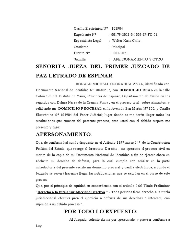 Escrito de Apersonamiento Civil | PDF | Ley procesal | Justicia