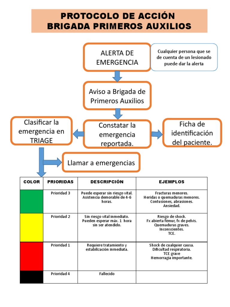 Protocolo de Accion de Primeros Auxilios | Descargar gratis PDF | Primeros auxilios ...