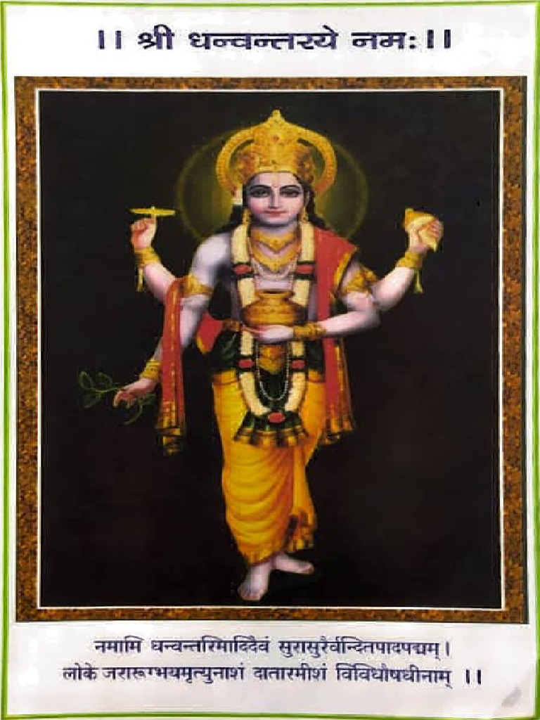 Dhamtari Ayurvedic | PDF